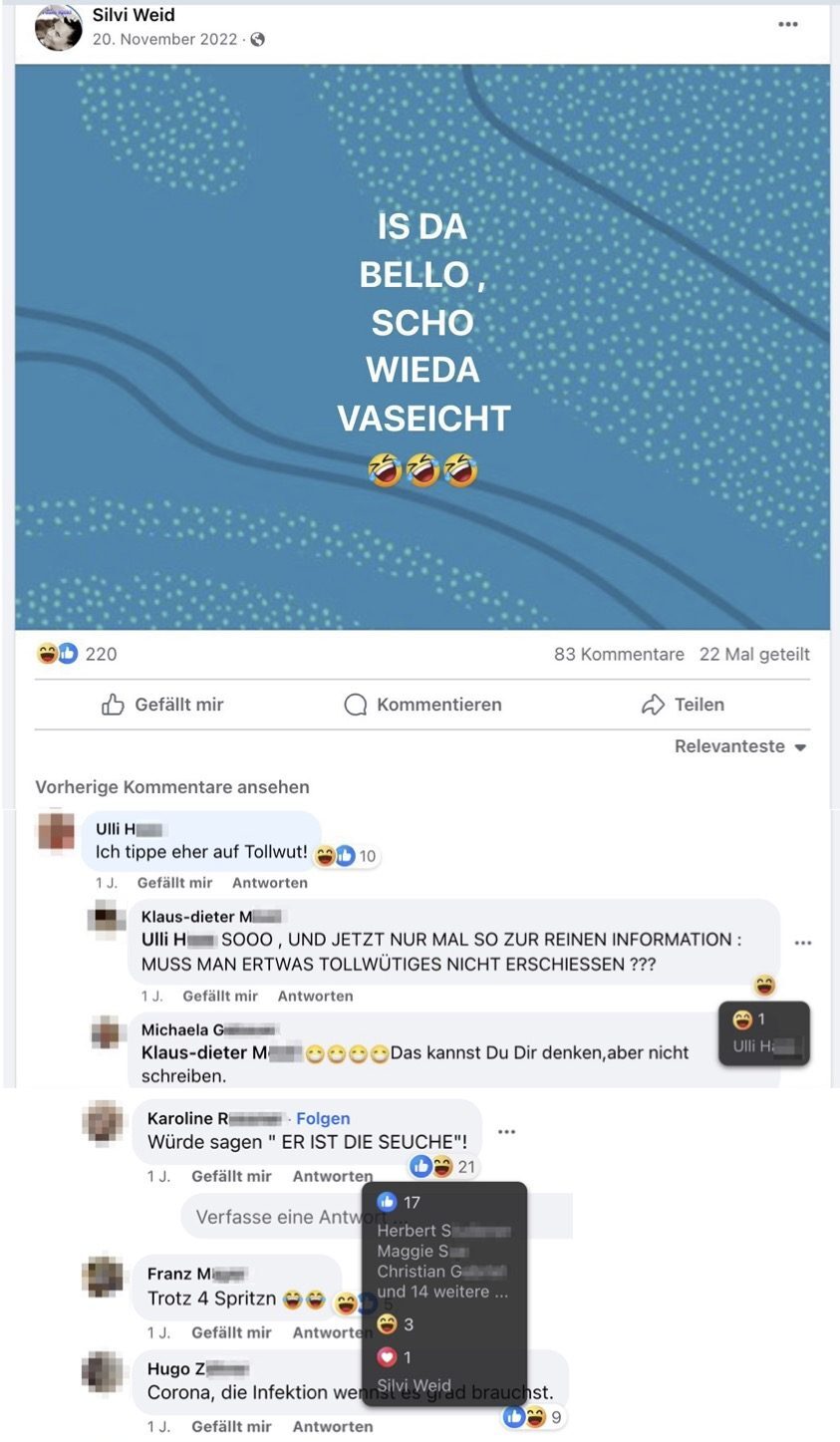 FPÖ official Weidinger between hate and palm frond binding (II)